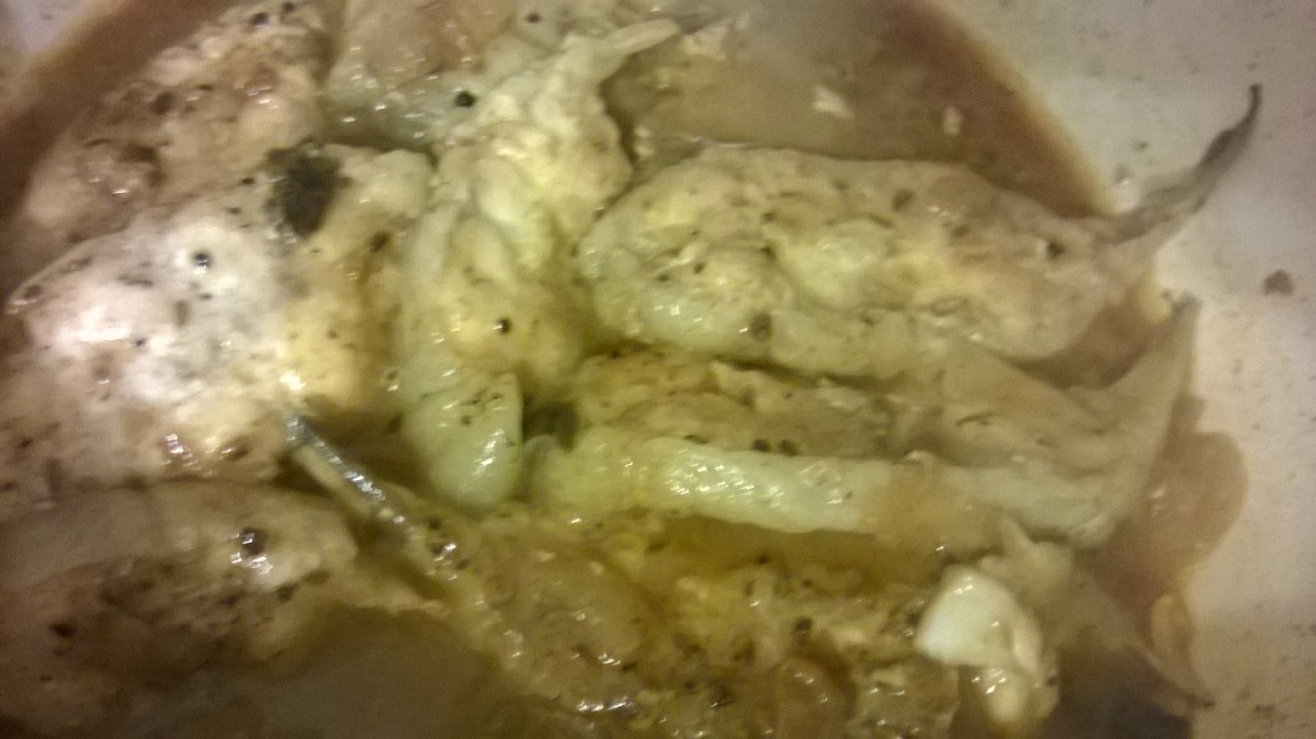 Asa Wot (Ethiopian Fish Stew) – benazir's blog